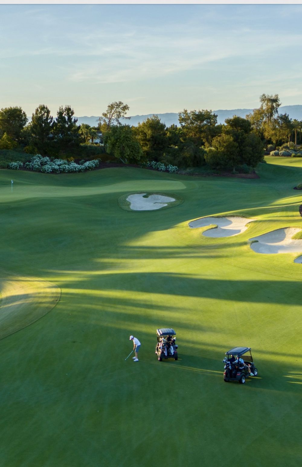 Experiences | Atlantic Fields